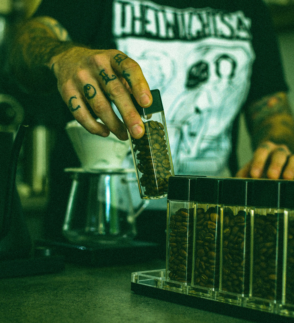 Coffee Conspiracy Co. | Exposing the Best Coffee – coffeeconspiracy